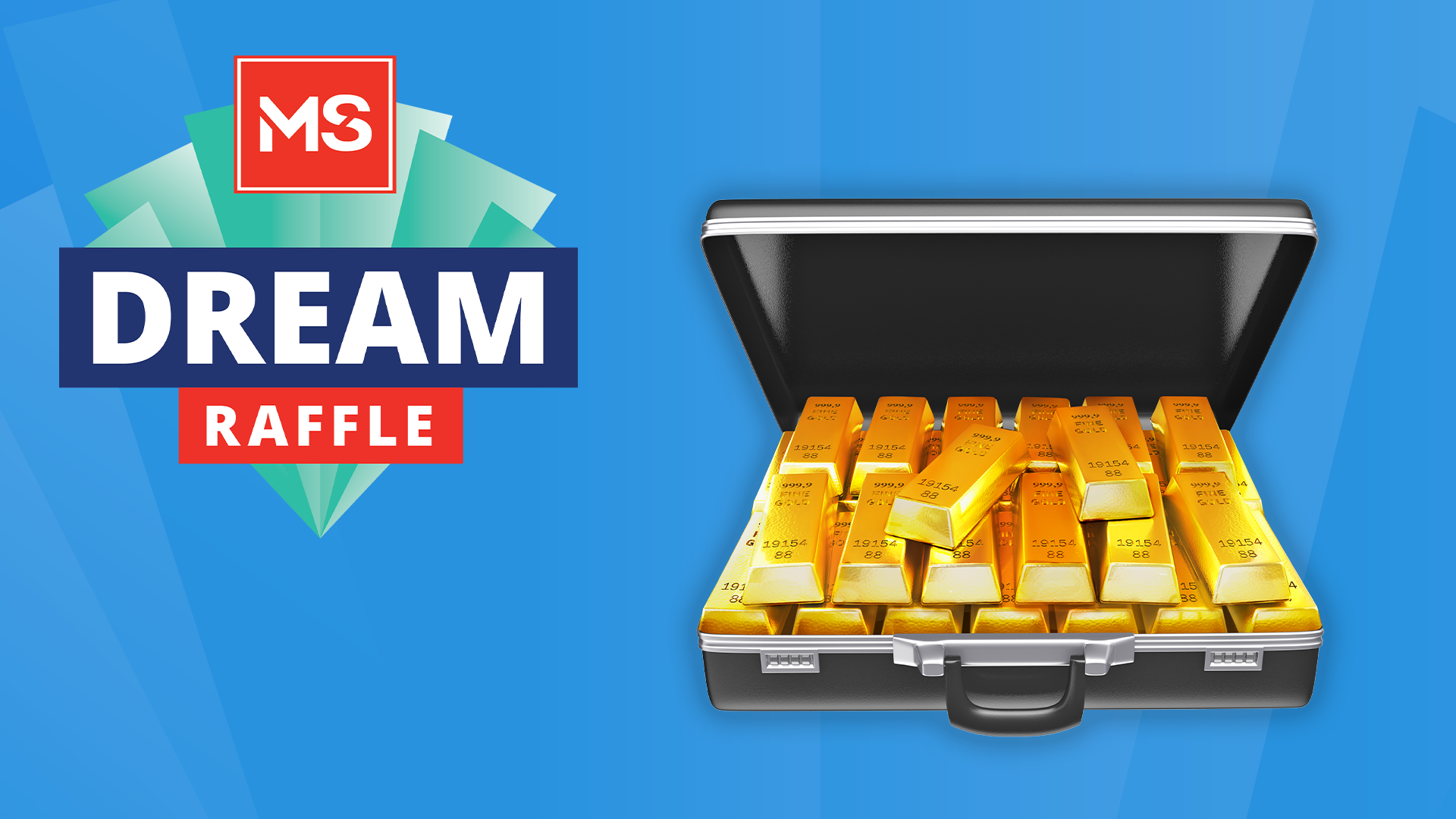 Buy a raffle ticket | MS Plus